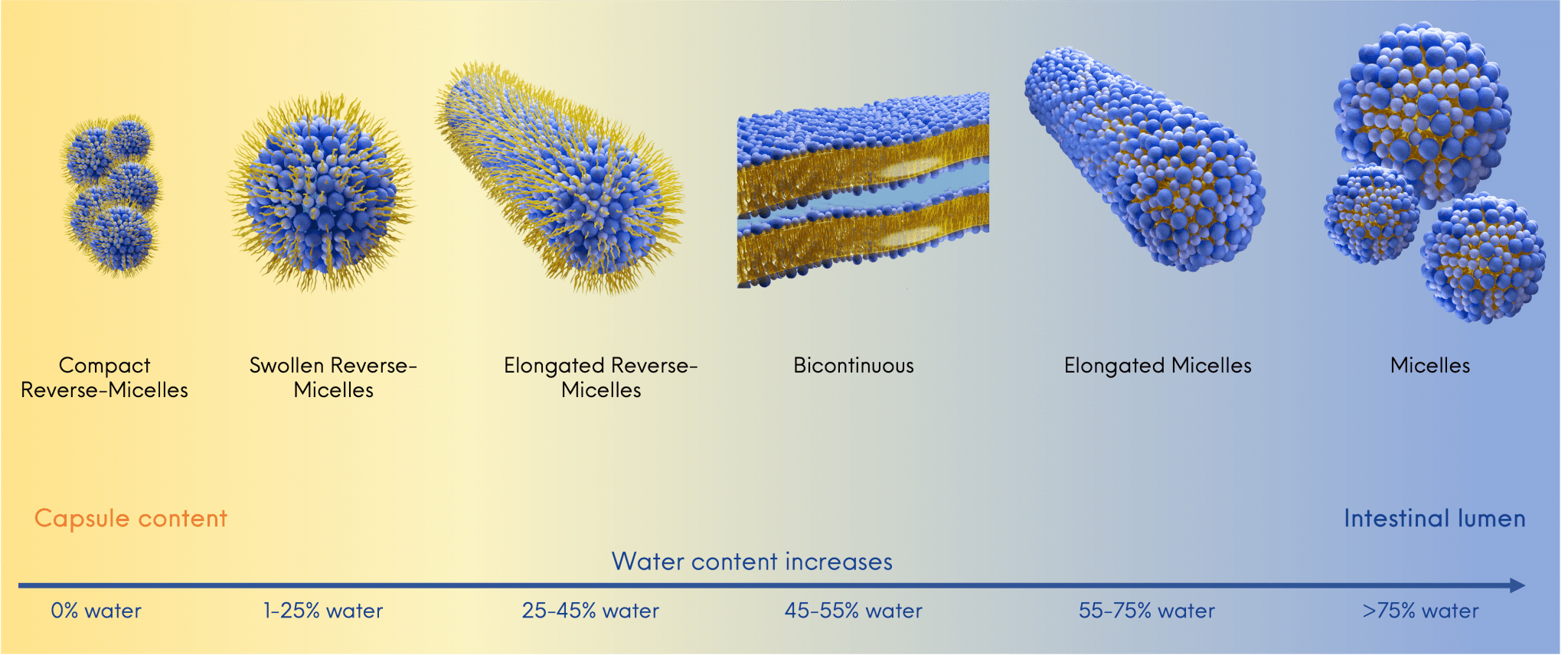 Science - Micellae